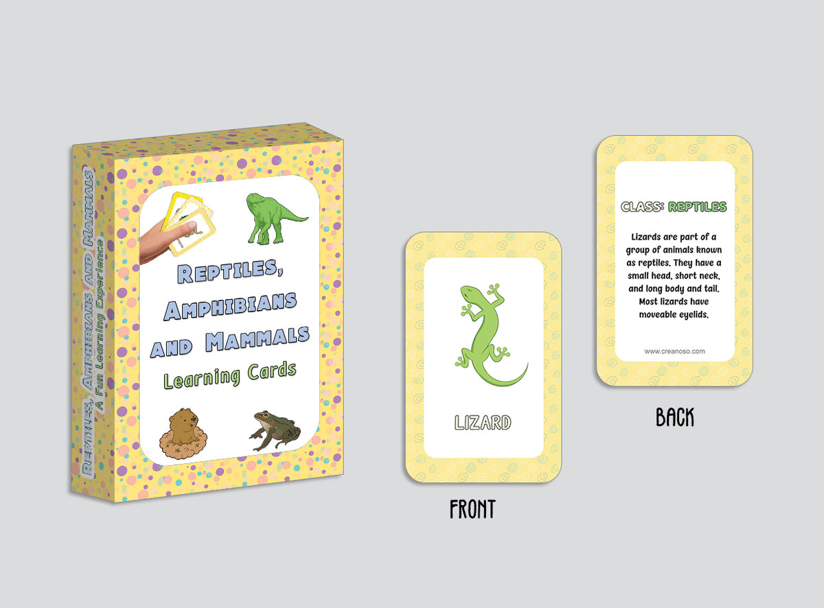 Reptiles, Amphibians and Mammals Learning Cards (1-Deck X 54 Cards ...