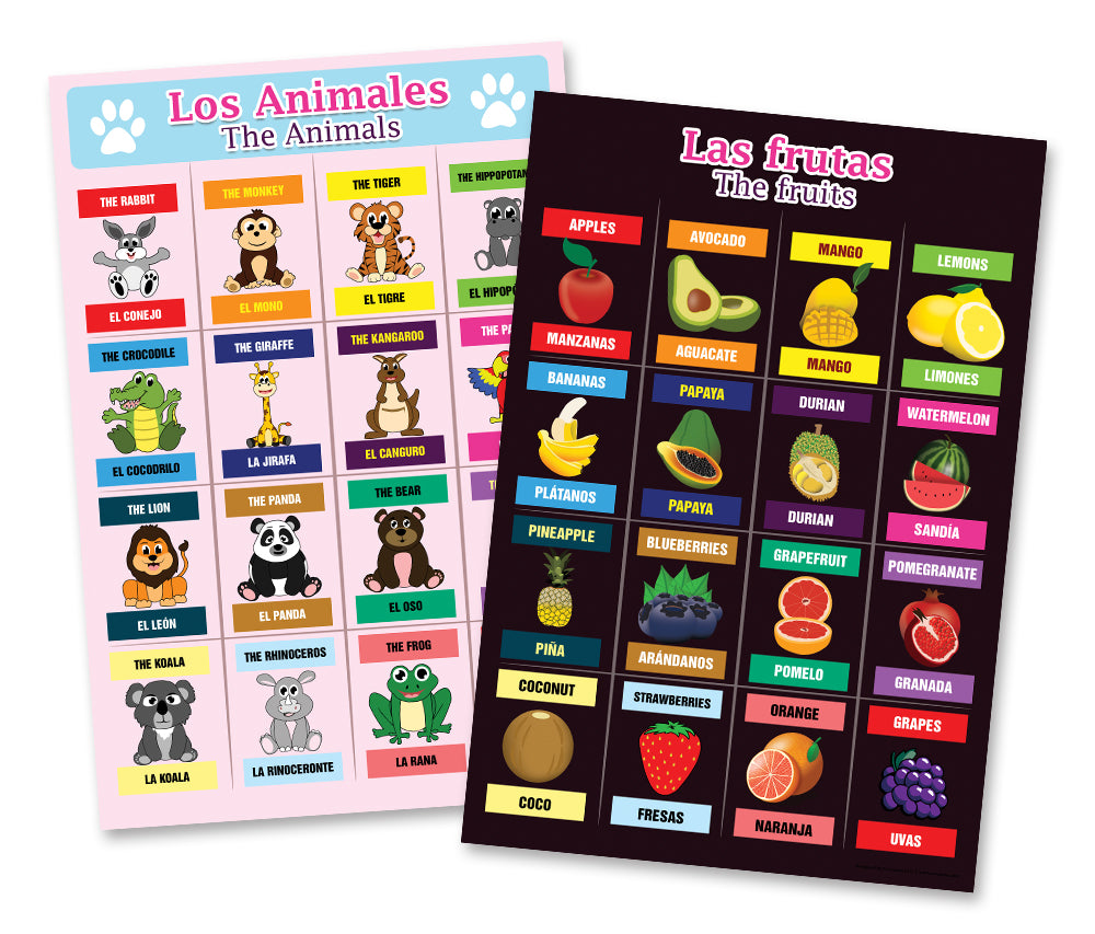 Spanish Vocabulary English Bilingual Educational Learning Posters (6-P ...