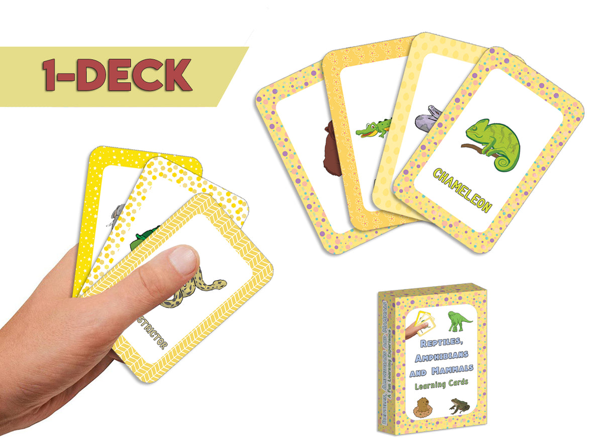Reptiles, Amphibians and Mammals Learning Cards (1-Deck X 54 Cards ...