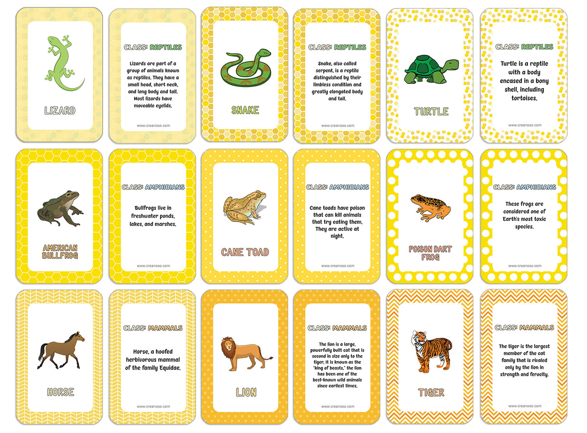 Reptiles, Amphibians and Mammals Learning Cards (4-Deck X 54 Cards ...