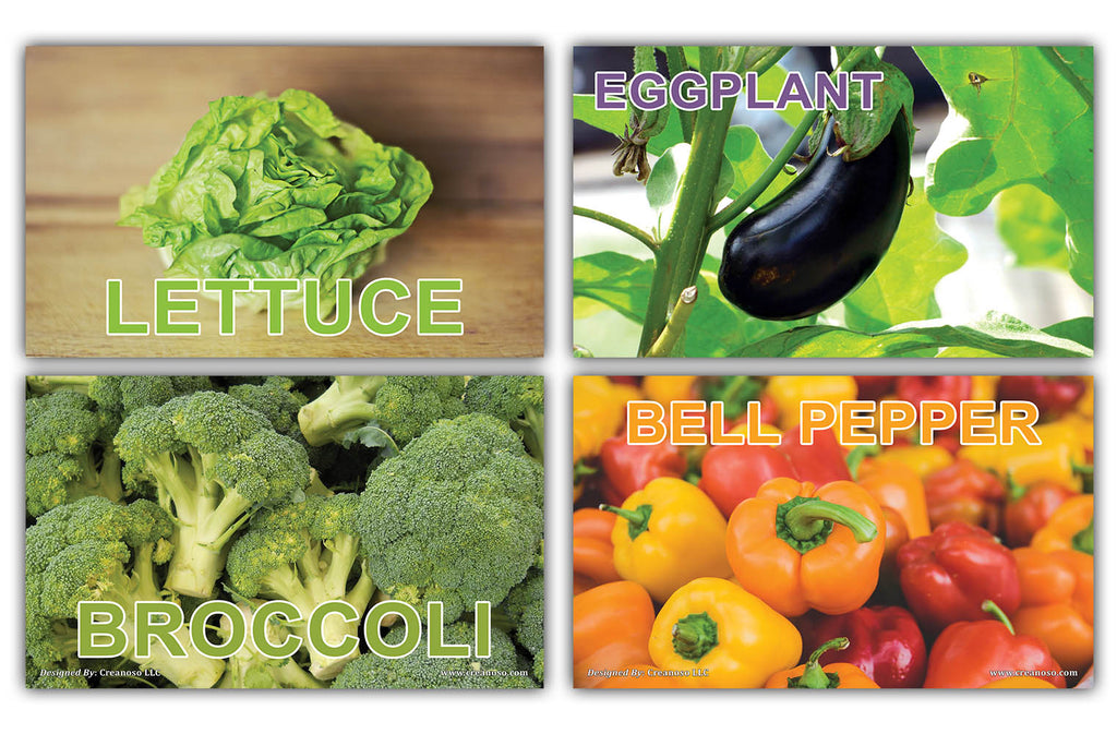 Creanoso Vegetables Food Identification Learning Flashcards Ã¢â‚¬â€œ M