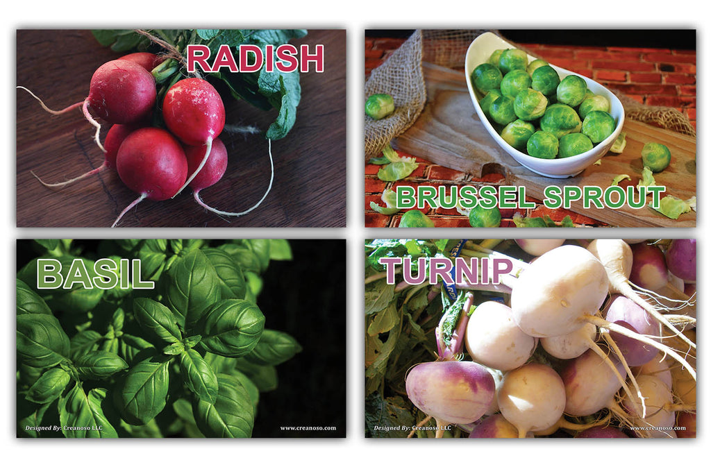 Creanoso Vegetables Food Identification Learning Flashcards Ã¢â‚¬â€œ M