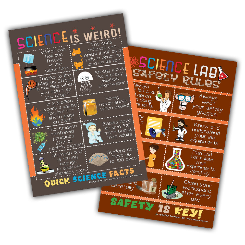Fun Science Educational Learning Posters (24-Pack) – Creanoso