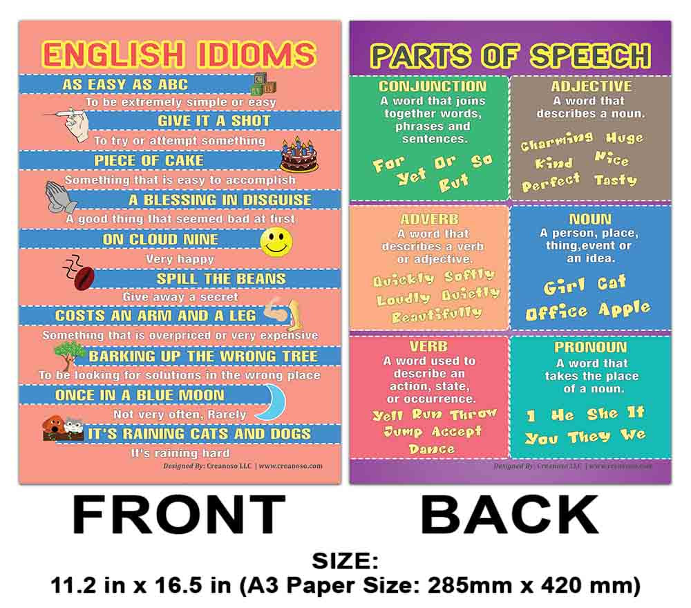 Fun English Learning Words Educational Posters (12-Pack) – Creanoso